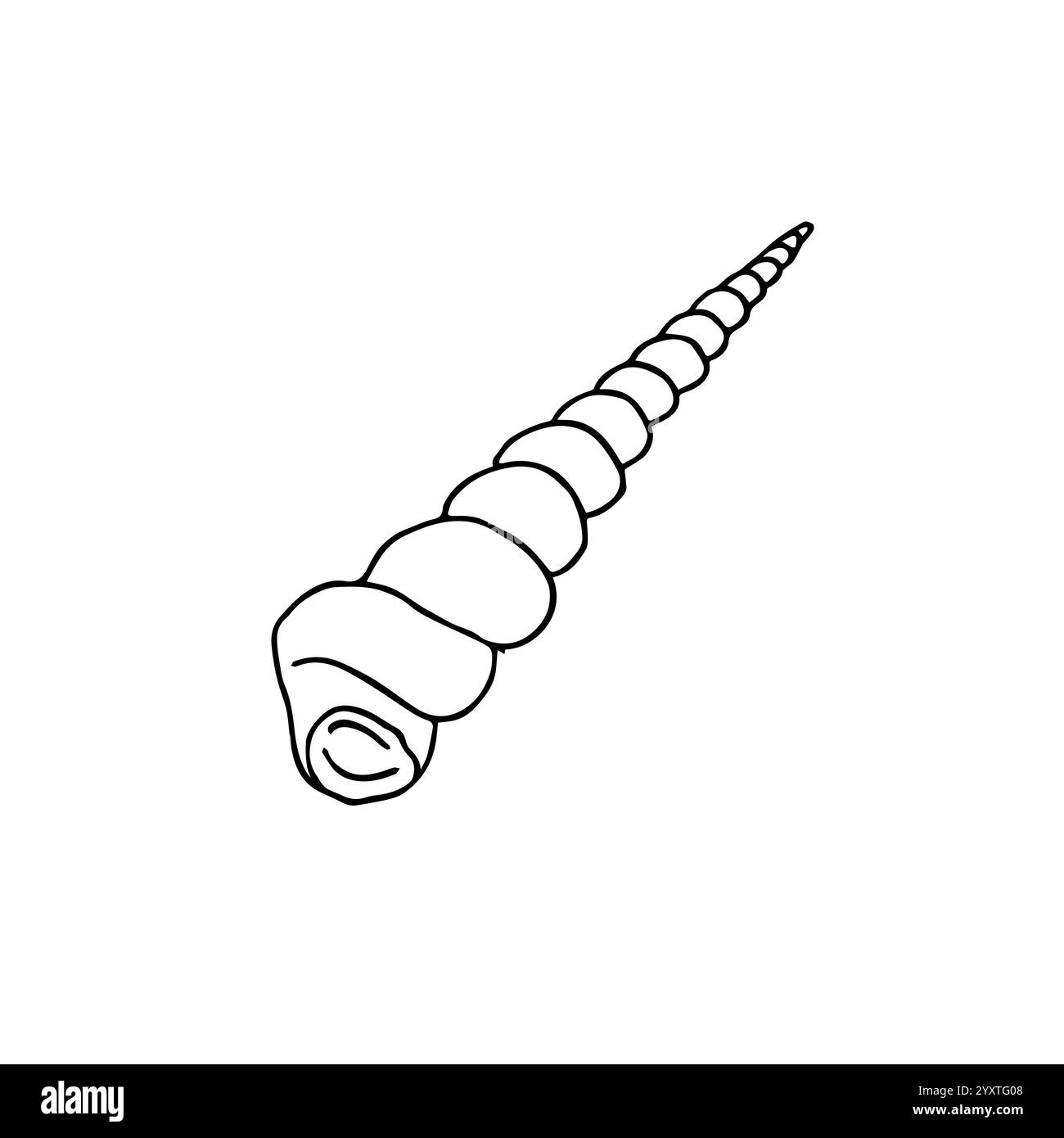 Vector hand drawn doodle sketch shell isolated on white background ...