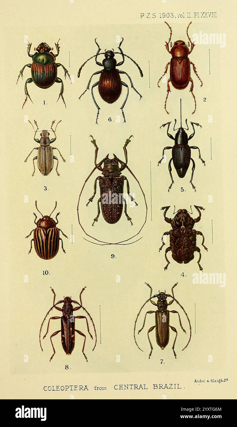 Proceedings of the Zoological Society of London London Academic Press ...