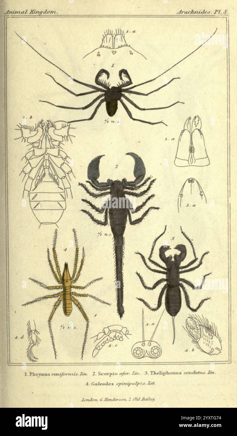 Top prominently displays hi-res stock photography and images - Alamy