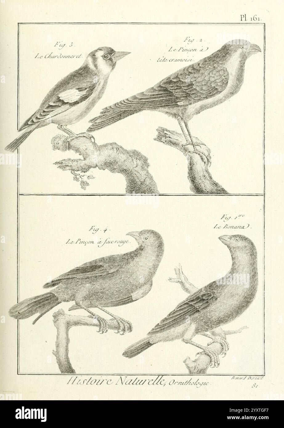 Tableau encyclopédique et méthodique des trois règnes de la nature, A ...