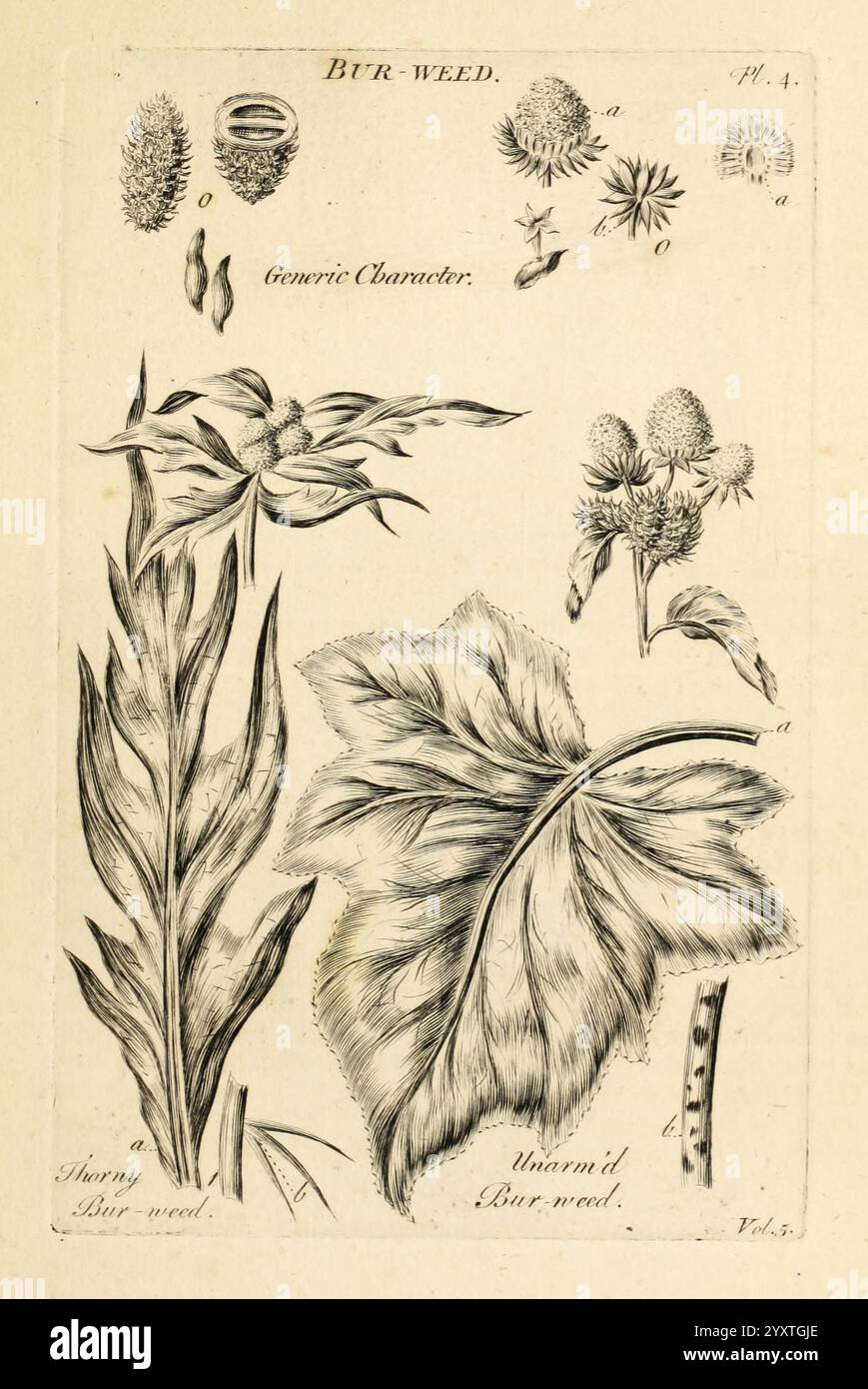 Labeled drawings highlight hi-res stock photography and images - Alamy