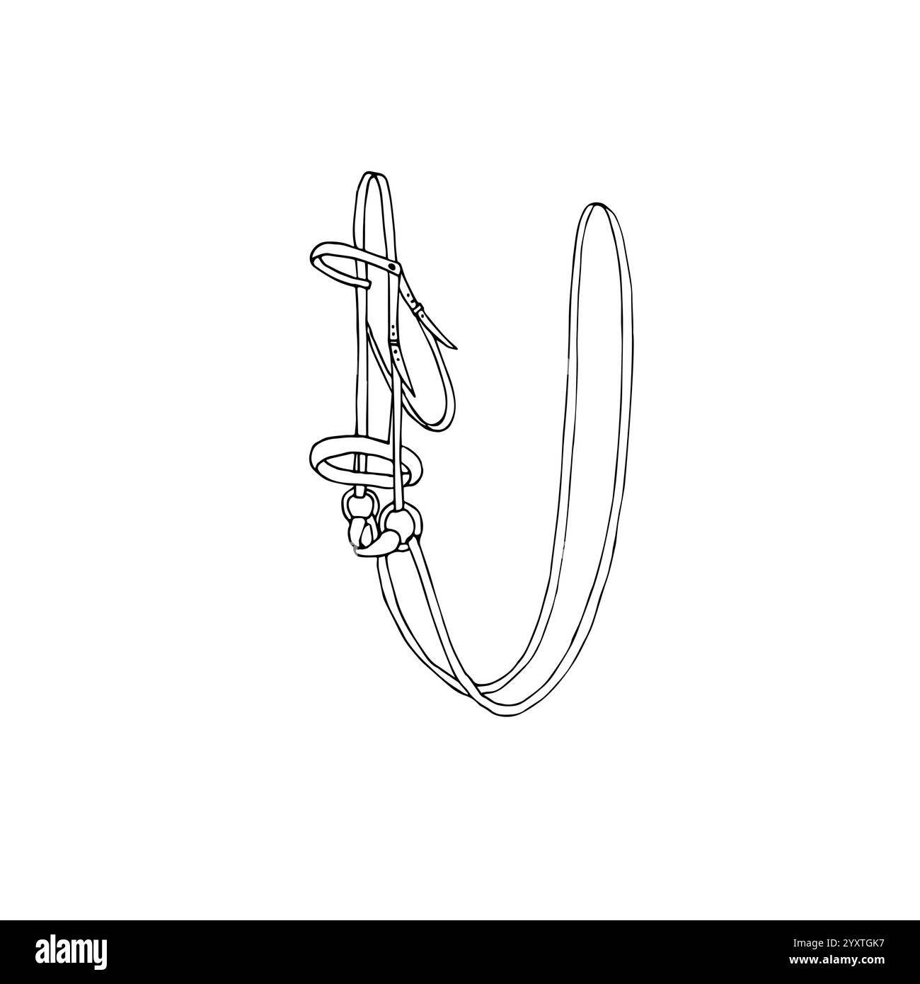 Vector hand drawn doodle sketch equestrian horse bridle isolated on white background Stock ...