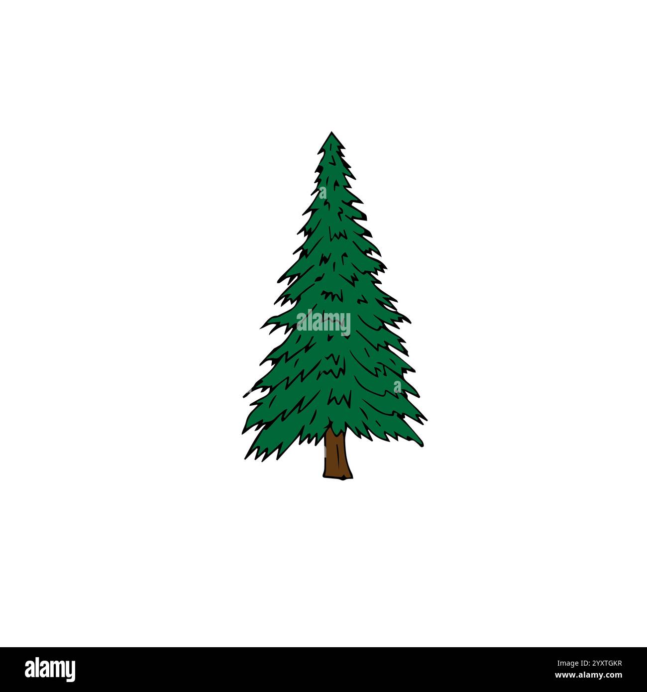 Vector green colored hand drawn doodle sketch spruce tree isolated on ...