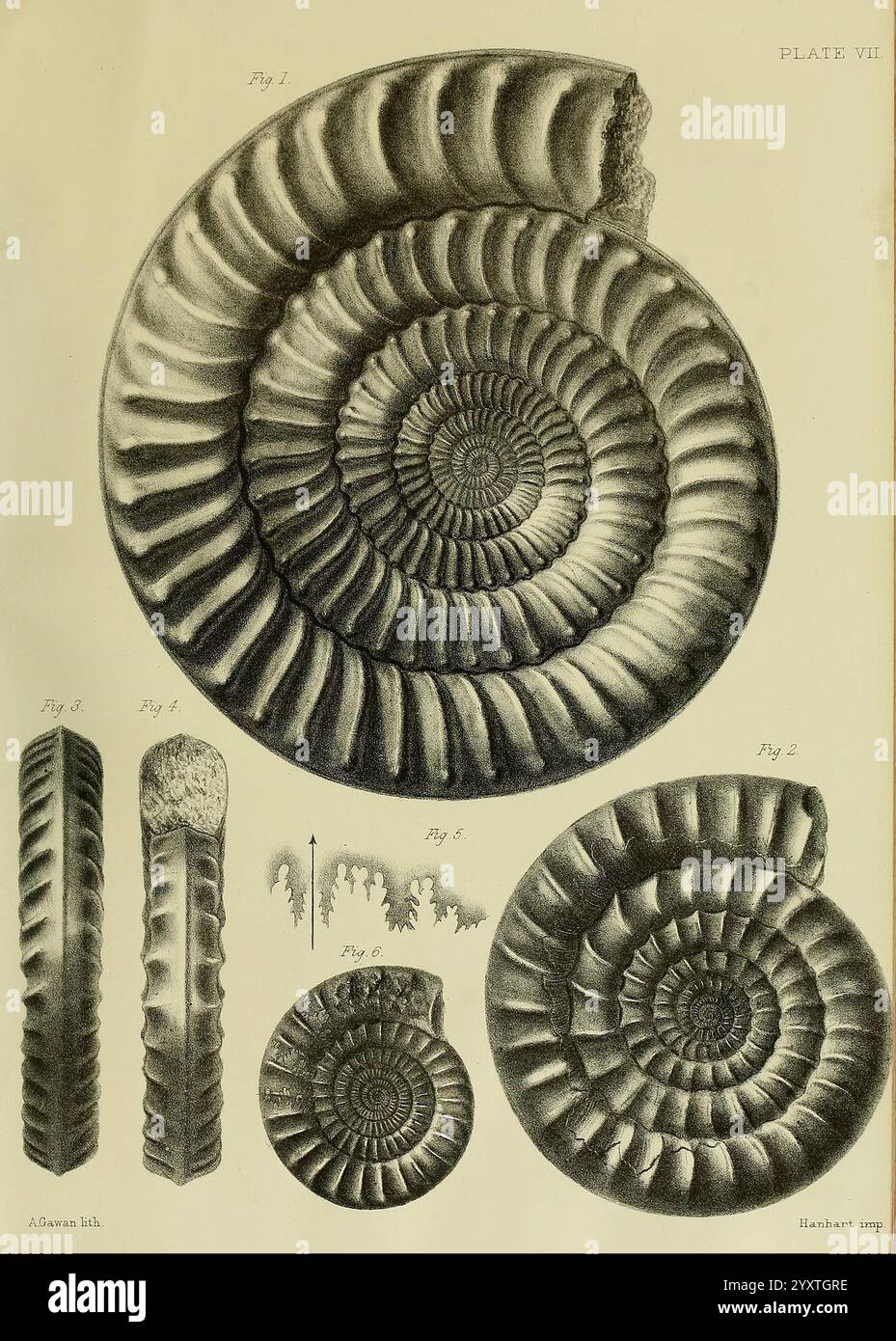 Numbers denoting hi-res stock photography and images - Alamy
