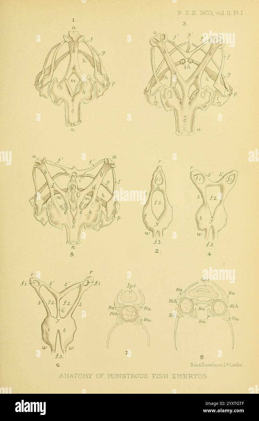 Proceedings of the Zoological Society of London, London, Academic Press ...