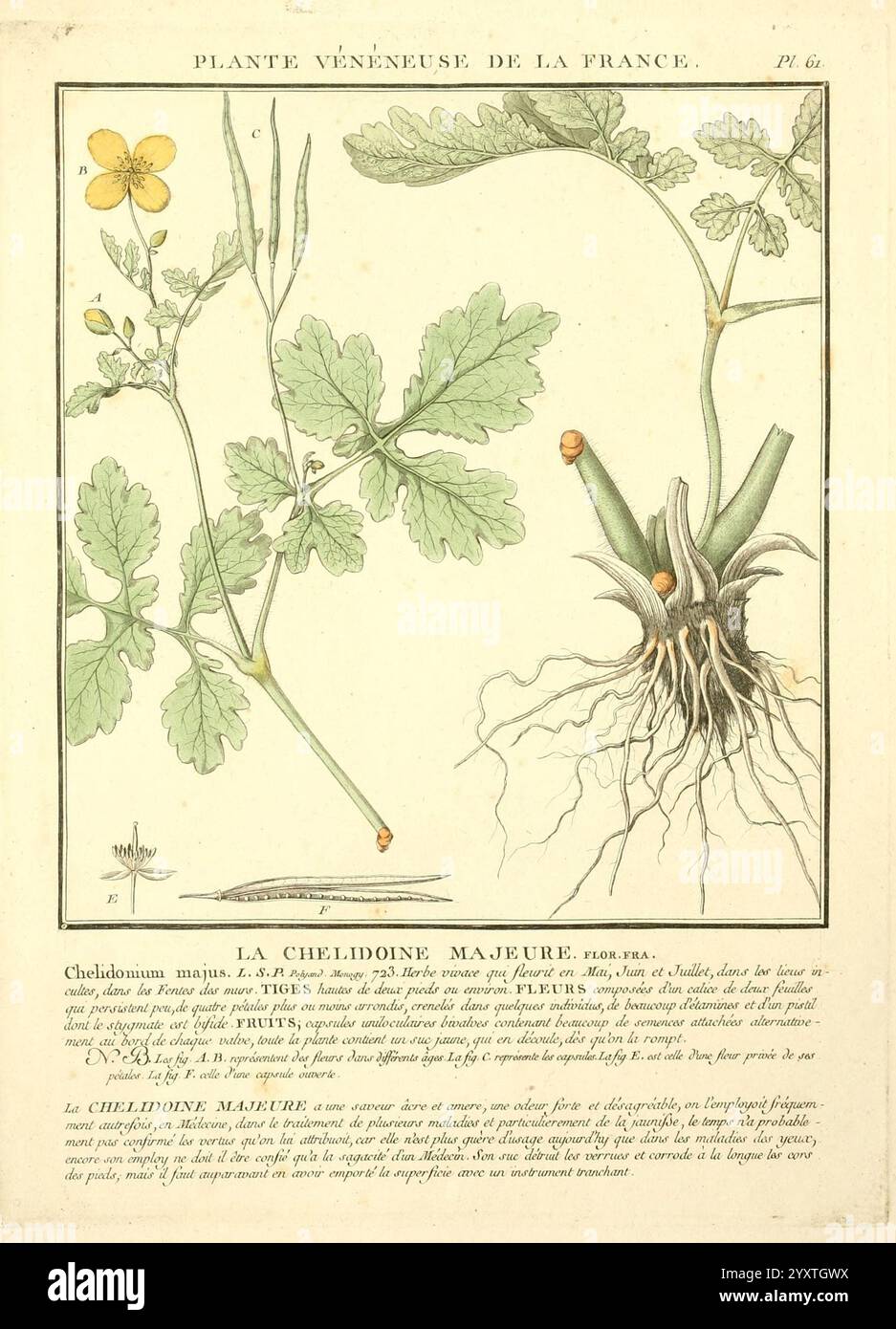 Herbier de la France, Paris, Chez l'auteur, Didot, Debure, Belin, 1780 ...