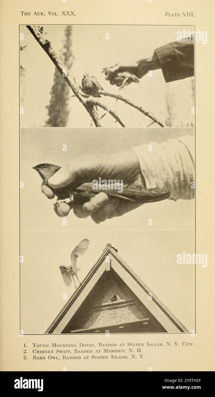 Final segment captures hi-res stock photography and images - Alamy