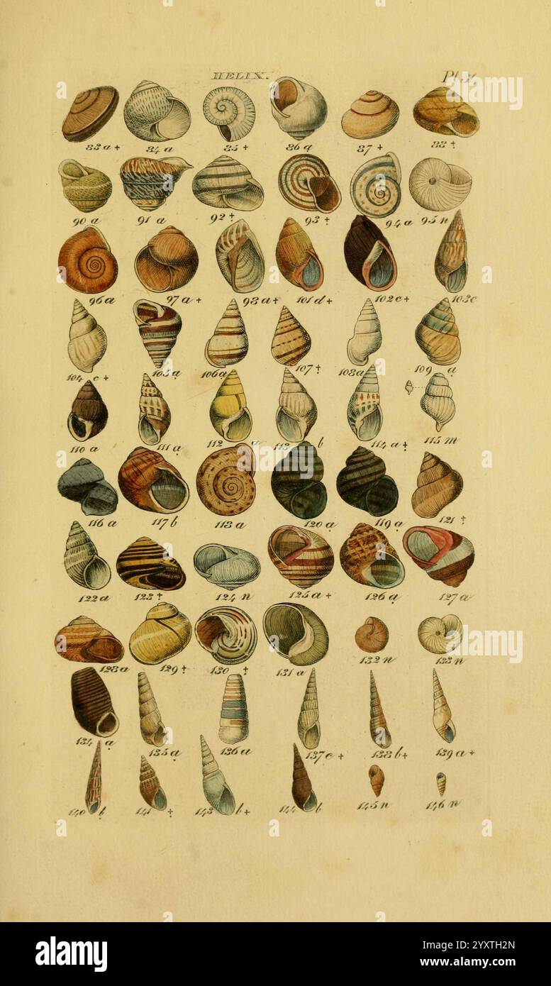 Classification purposes hi-res stock photography and images - Alamy