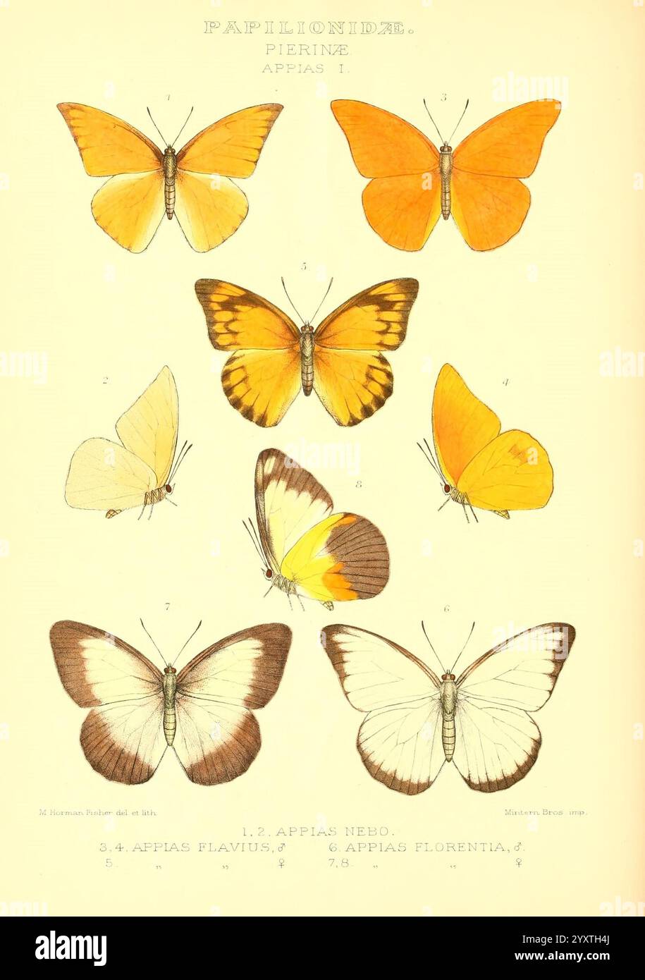 Striking black edges hi-res stock photography and images - Alamy