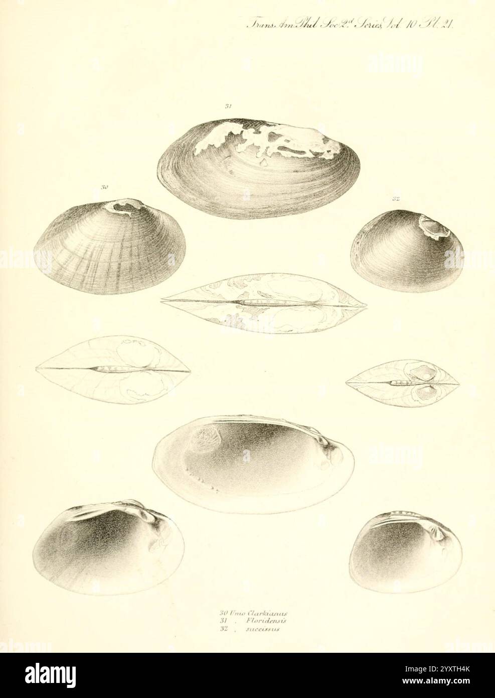 Compilation exemplifies hi-res stock photography and images - Alamy