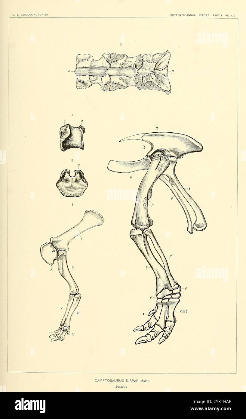 Joint configurations hi-res stock photography and images - Alamy