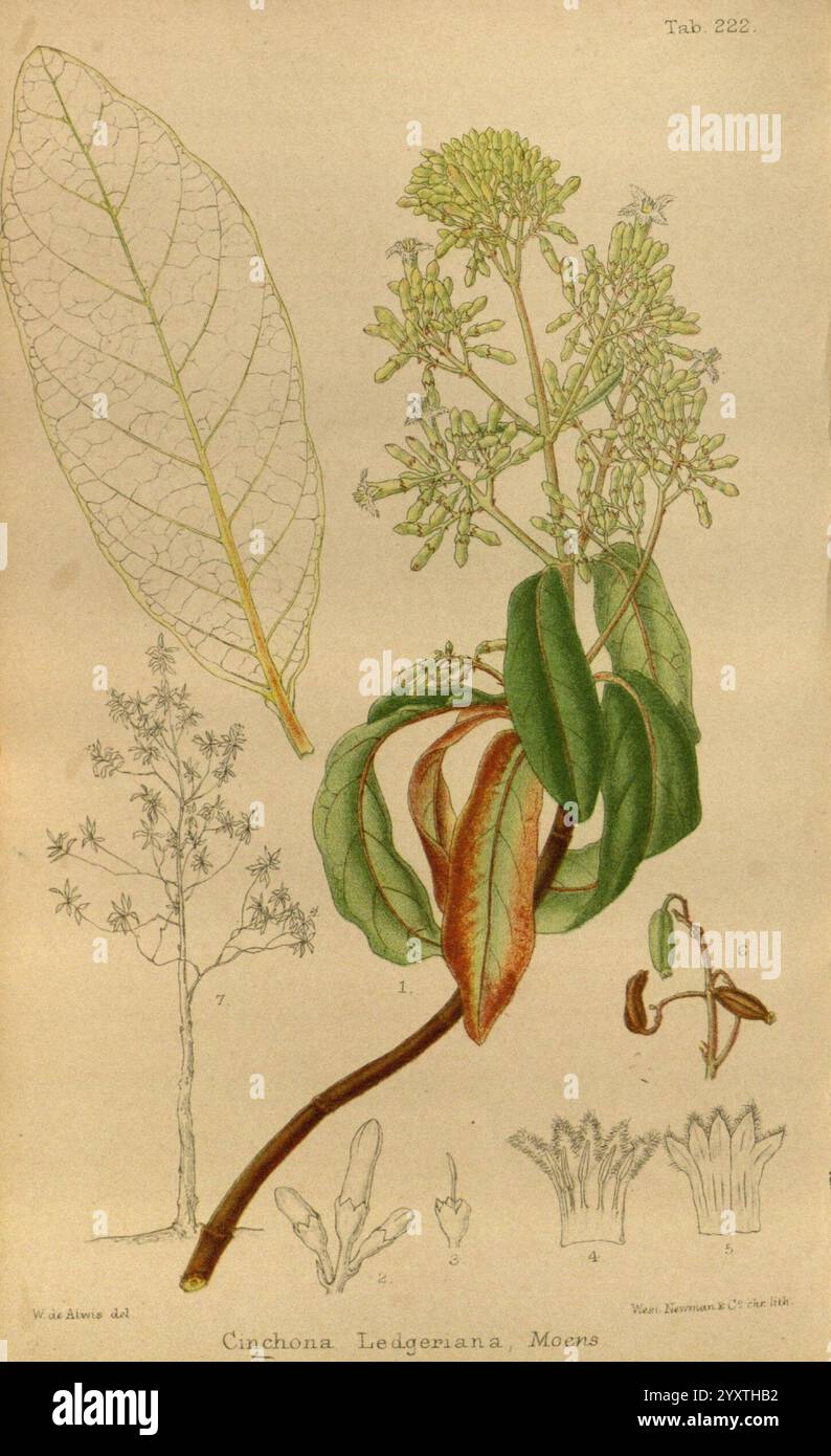 Labeled diagrams showing hi-res stock photography and images - Alamy