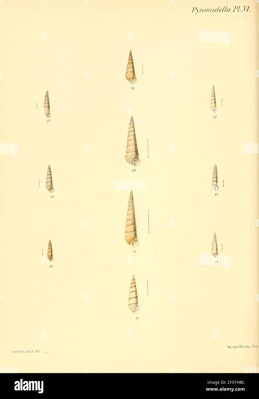 Neat vertical layout hi-res stock photography and images - Alamy