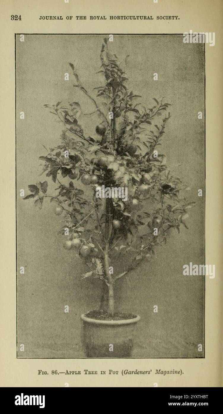 Journal of the Royal Horticultural Society of London, London, Printed ...