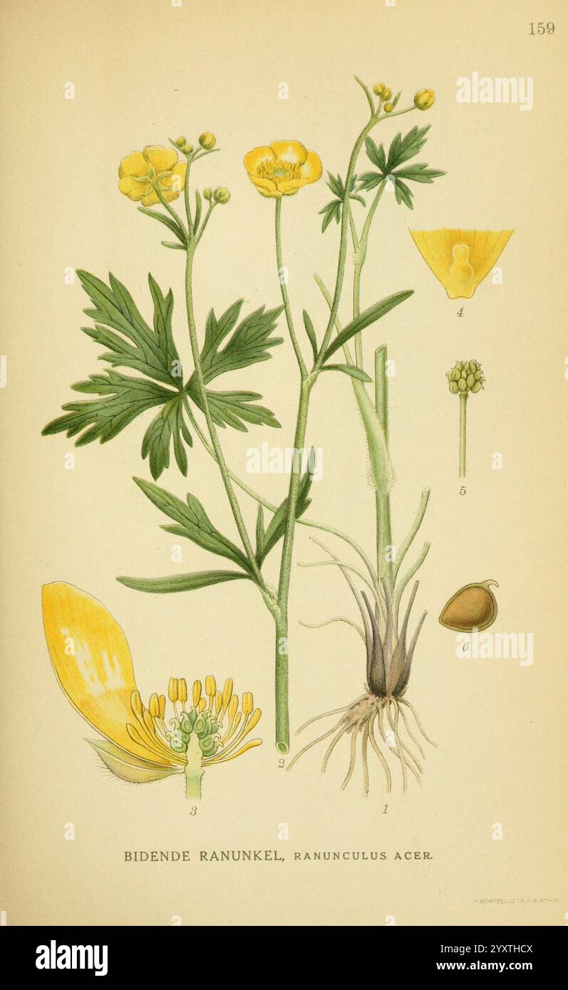 Layout displays various parts hi-res stock photography and images - Alamy