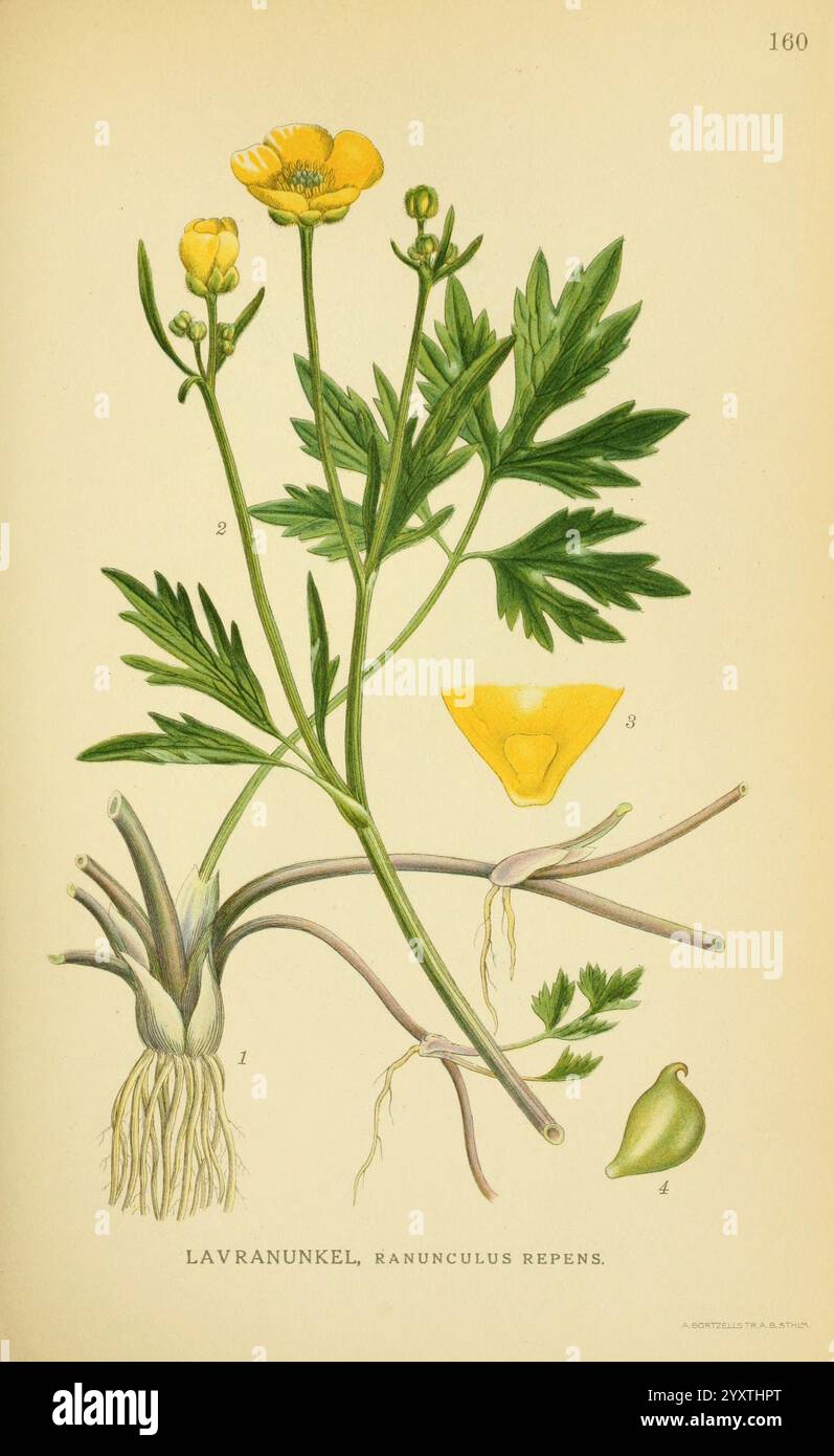 Numbered inset drawings hi-res stock photography and images - Alamy