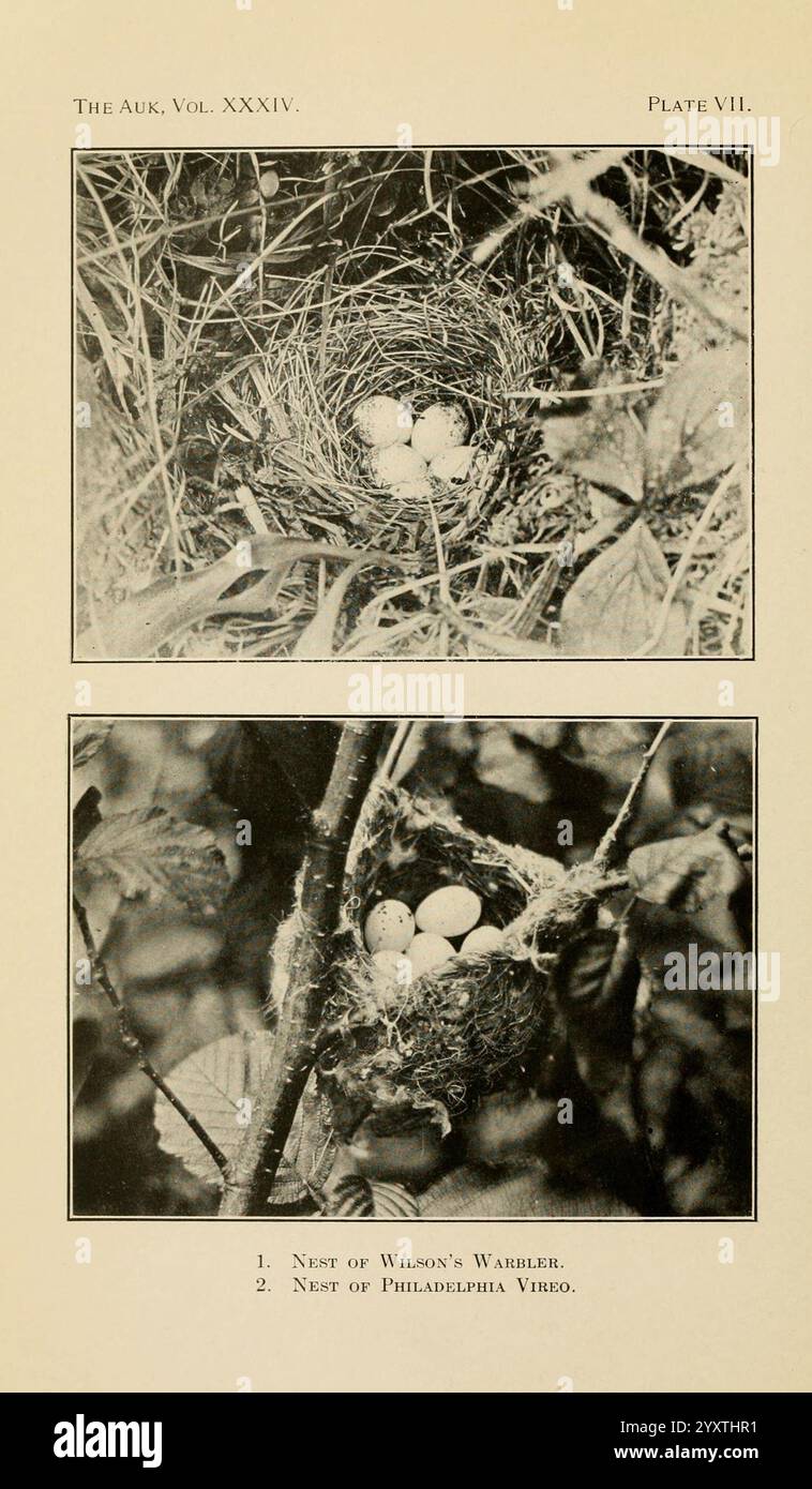 Section similarly illustrates hi-res stock photography and images - Alamy