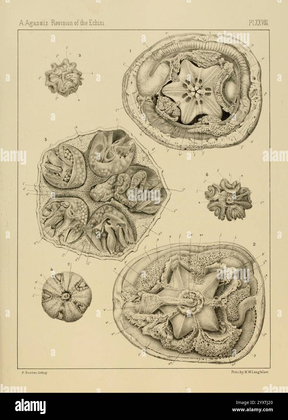 Labeled section indicates hi-res stock photography and images - Alamy