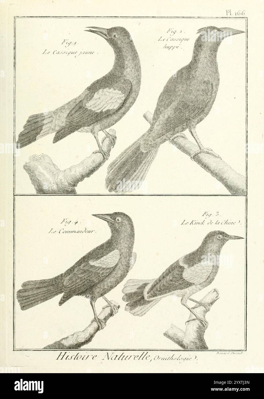 Tableau encyclopédique et méthodique des trois règnes de la nature, A ...