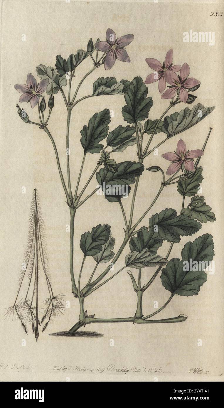 Artistic representation combines hi-res stock photography and images ...