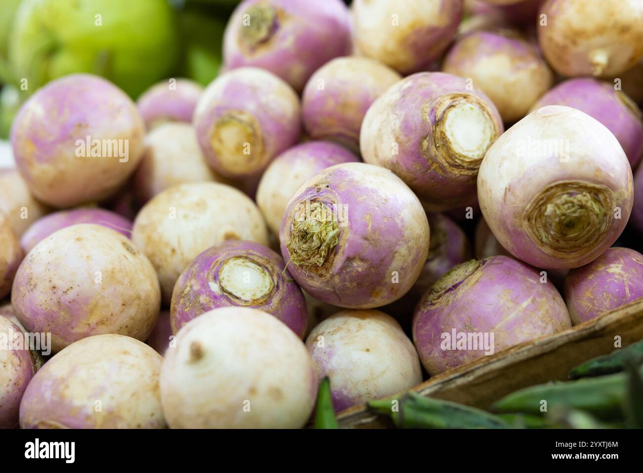 Shot shows garden stuff shop window with display boxes filled with ...