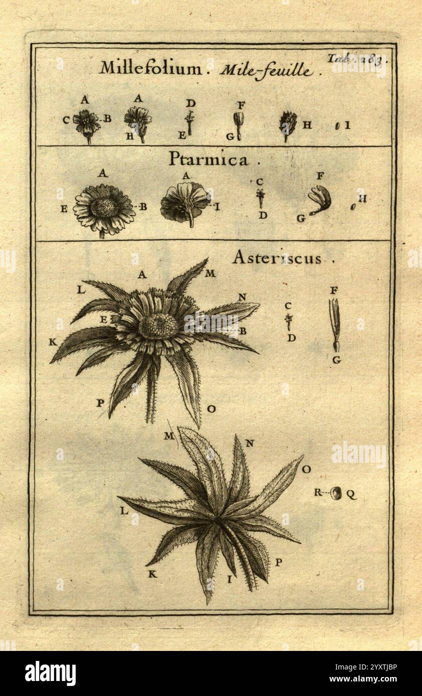 Meticulous representation hi-res stock photography and images - Alamy