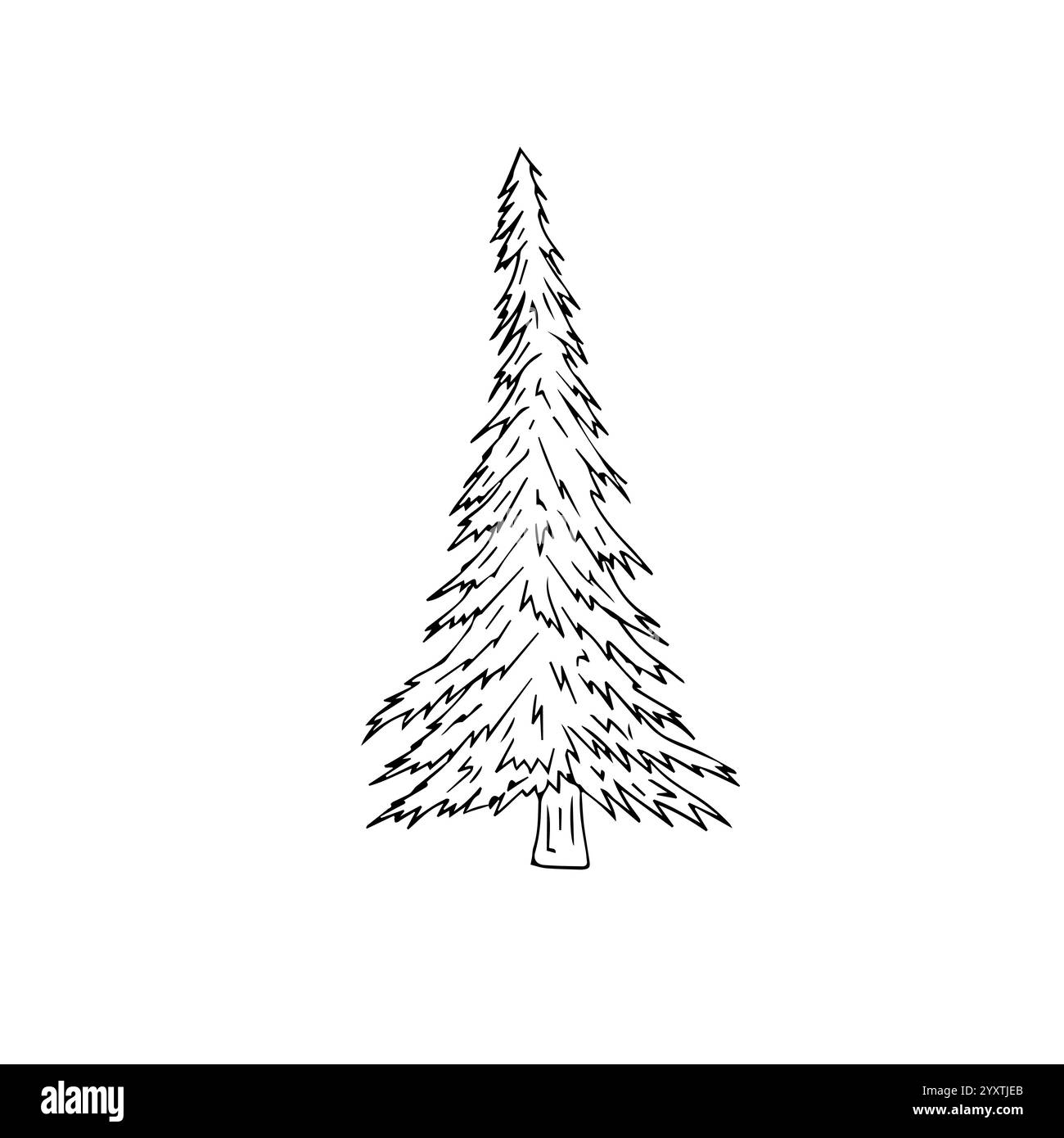 Vector hand drawn doodle sketch spruce tree isolated on white ...