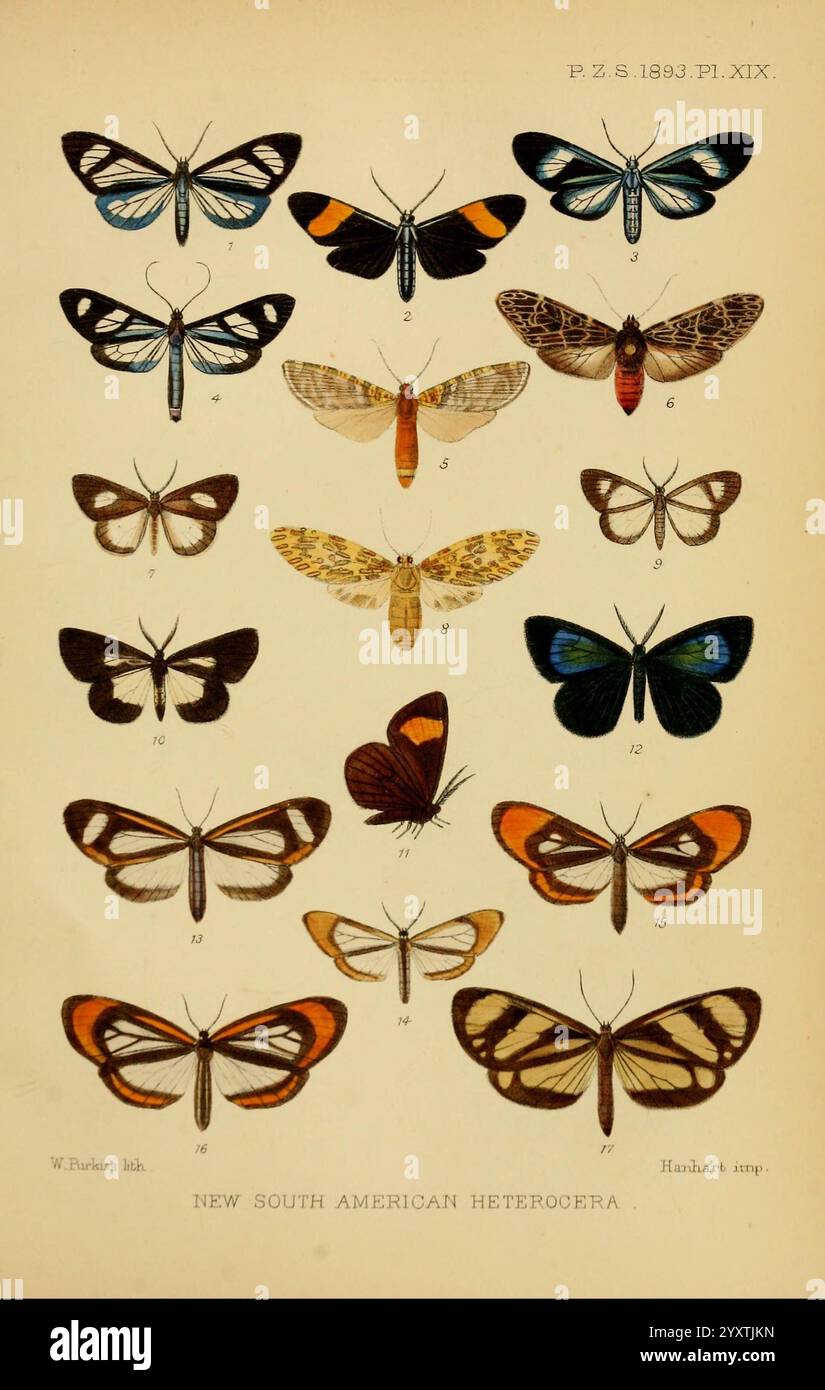 Grid of intricate geometric patterns in bold colors hi-res stock ...