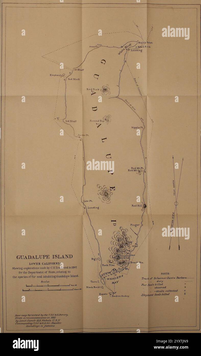 The fur seals and fur-seal islands of the North Pacific Ocean, 1898-99 ...