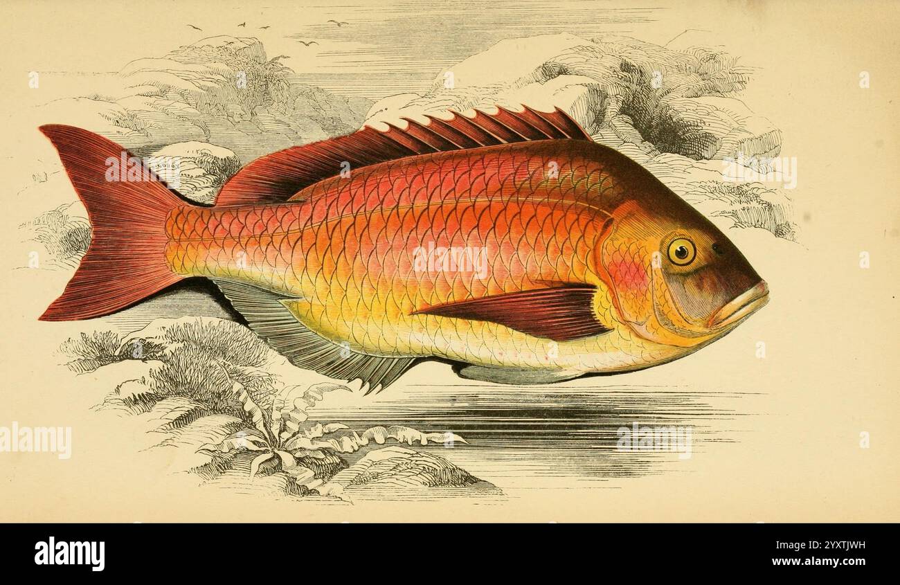 Striking color gradients hi-res stock photography and images - Alamy