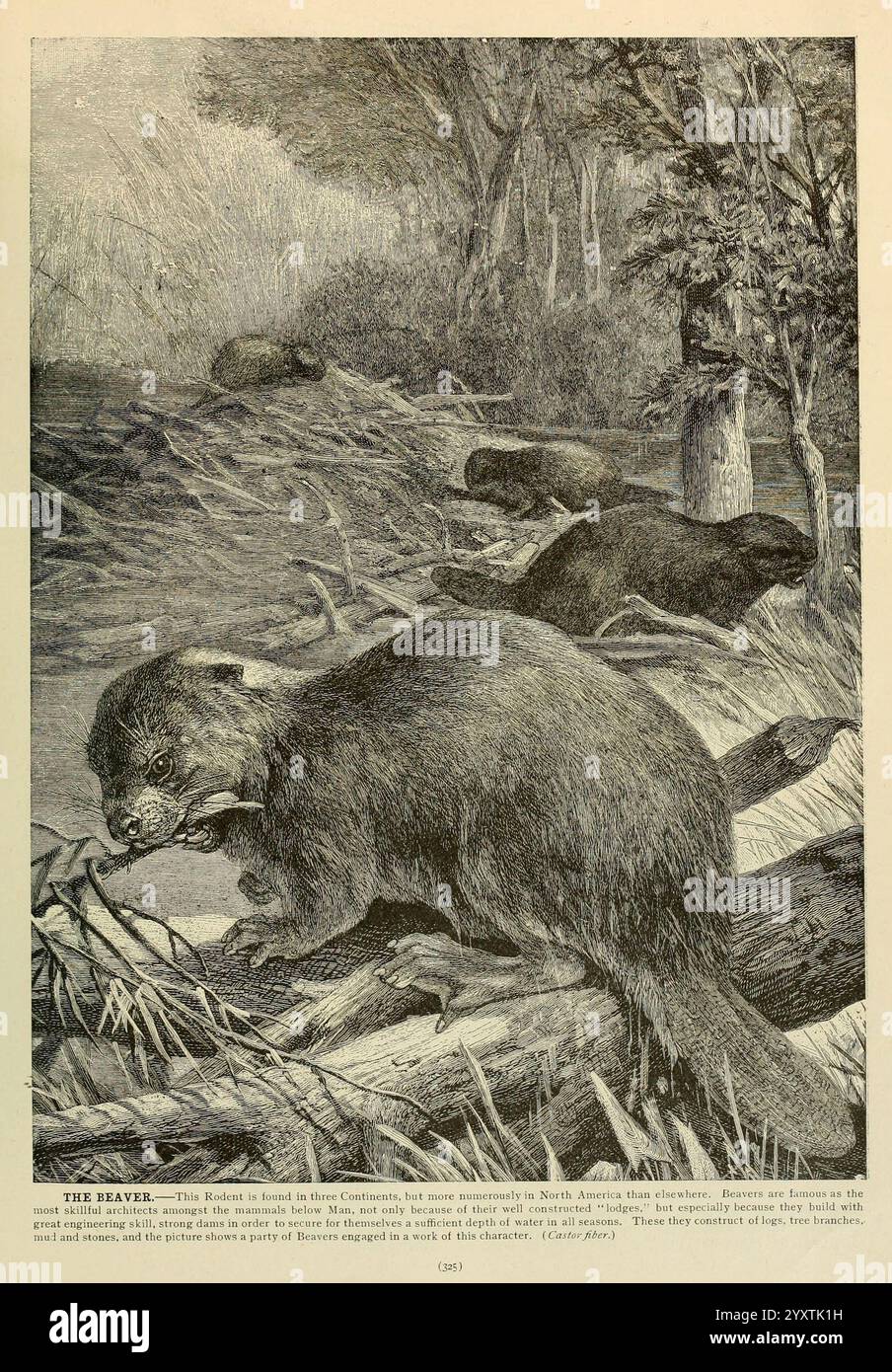 Hidden intricacies hi-res stock photography and images - Alamy