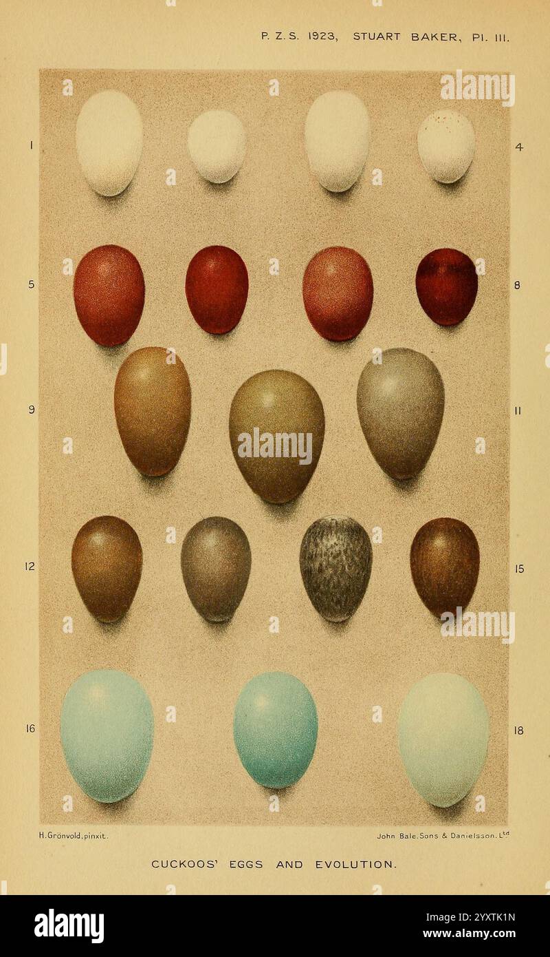 Visual representation stems hi-res stock photography and images - Alamy