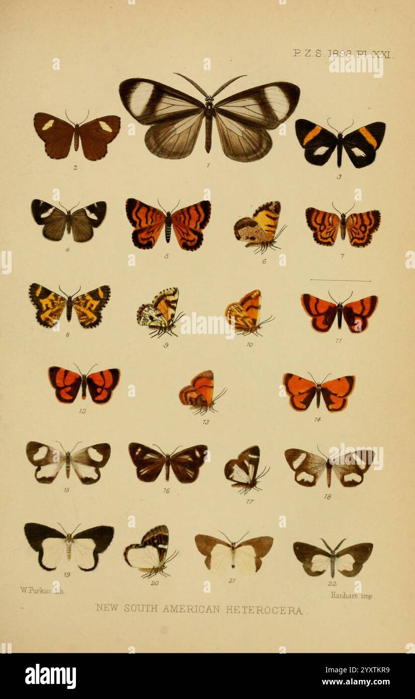 Compilation displays hi-res stock photography and images - Alamy