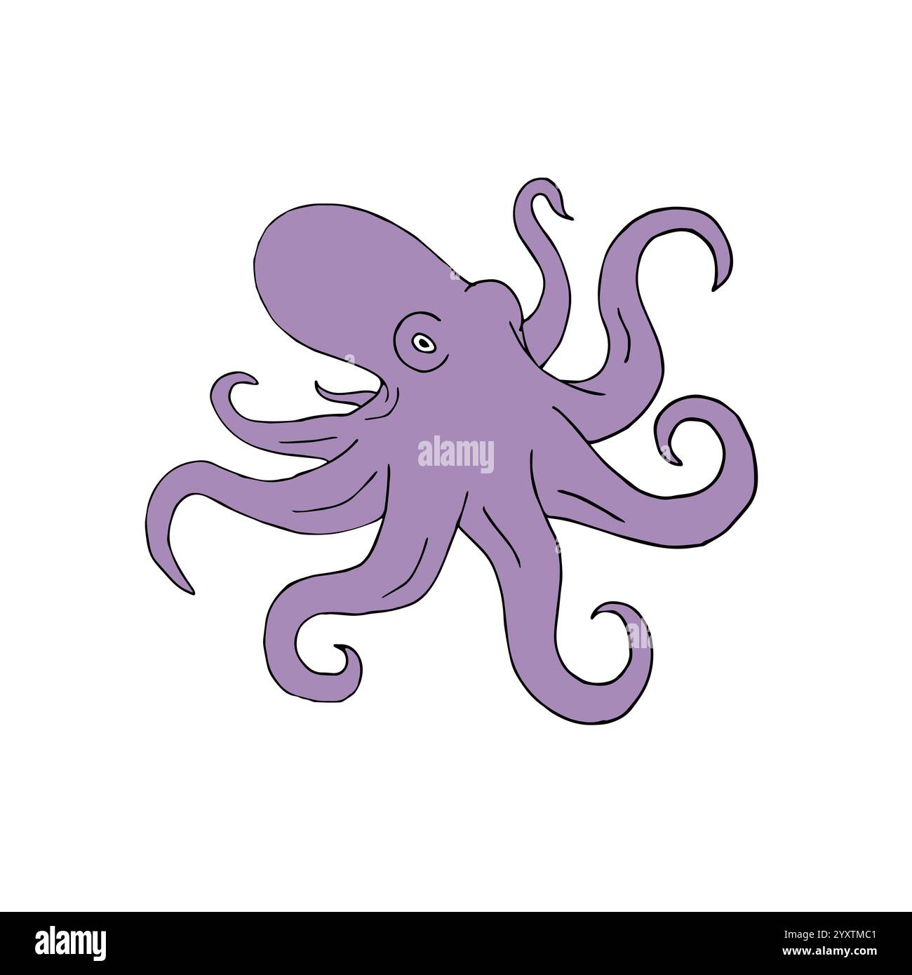 Vector hand drawn doodle sketch violet colored octopus isolated on ...