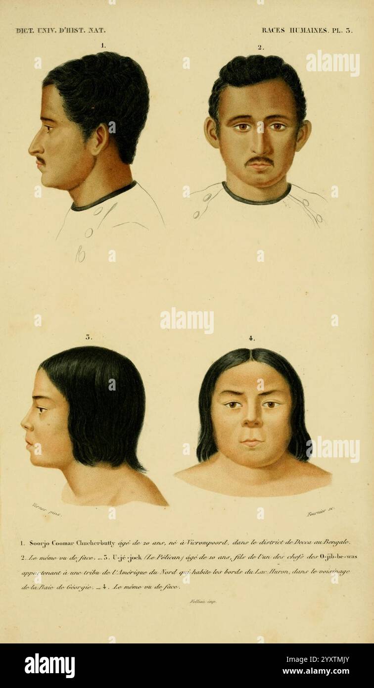 Four detailed portraits hi-res stock photography and images - Alamy