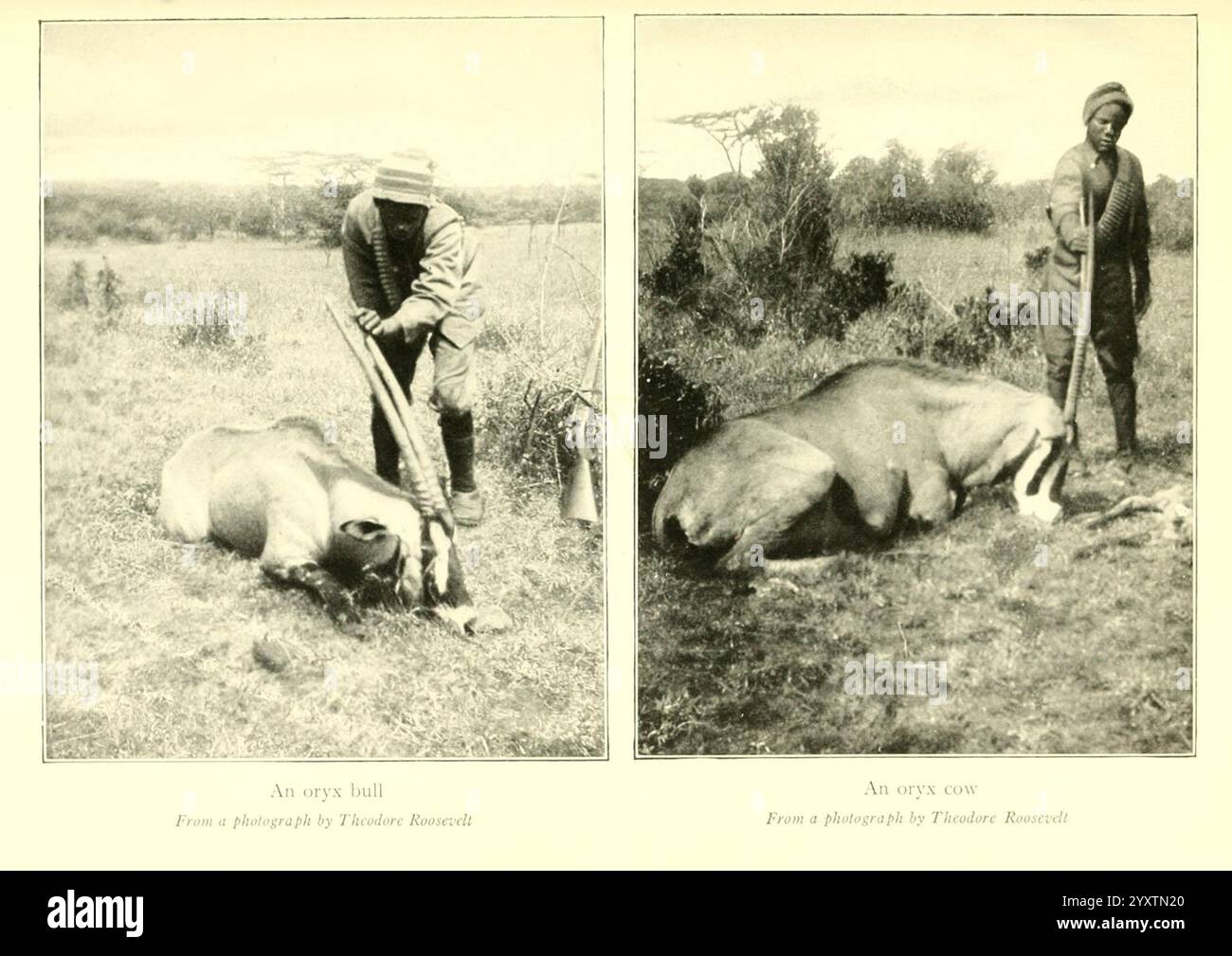 Formal attire interacts hi-res stock photography and images - Alamy