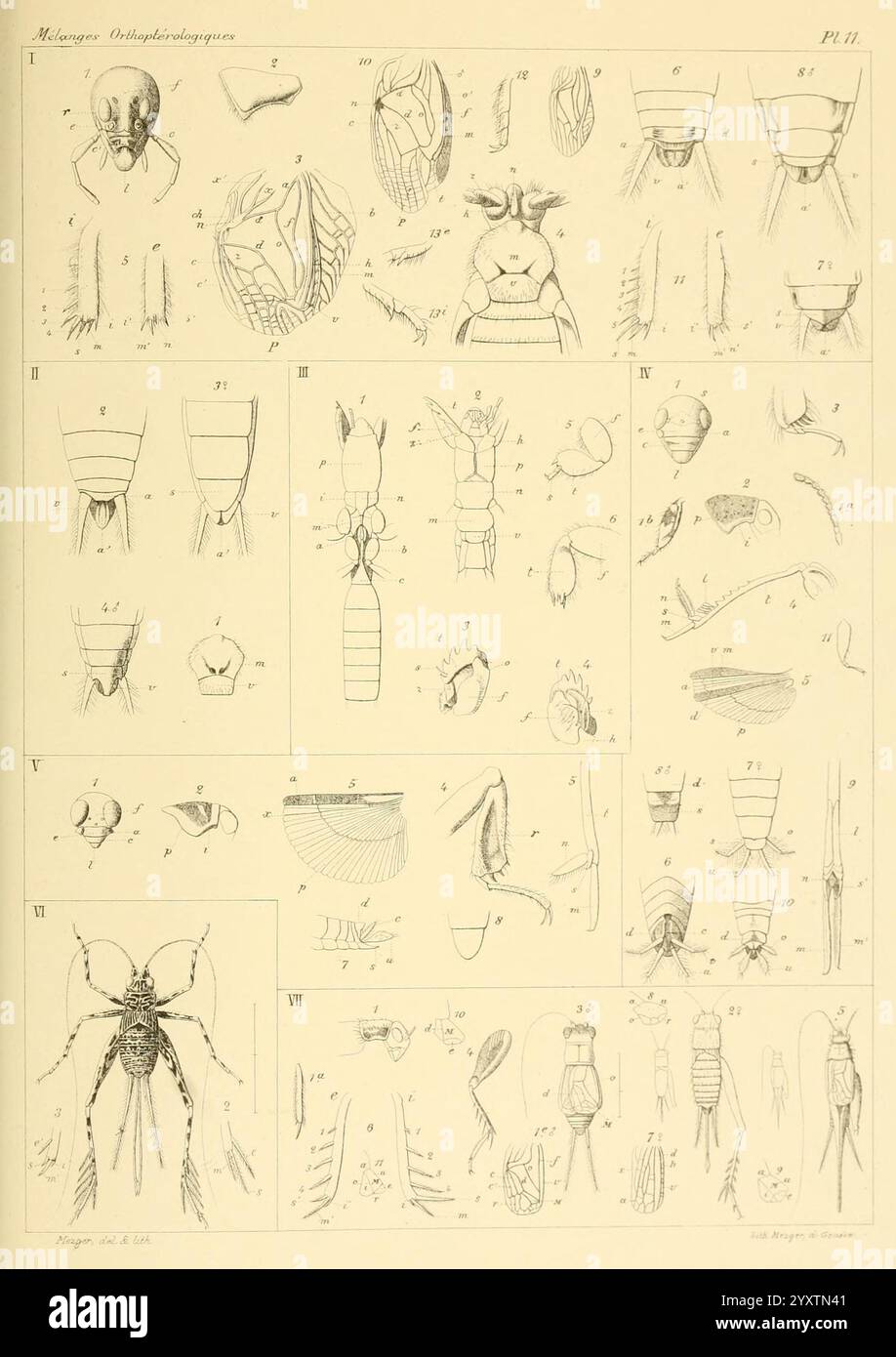 Segment numbered hi-res stock photography and images - Alamy