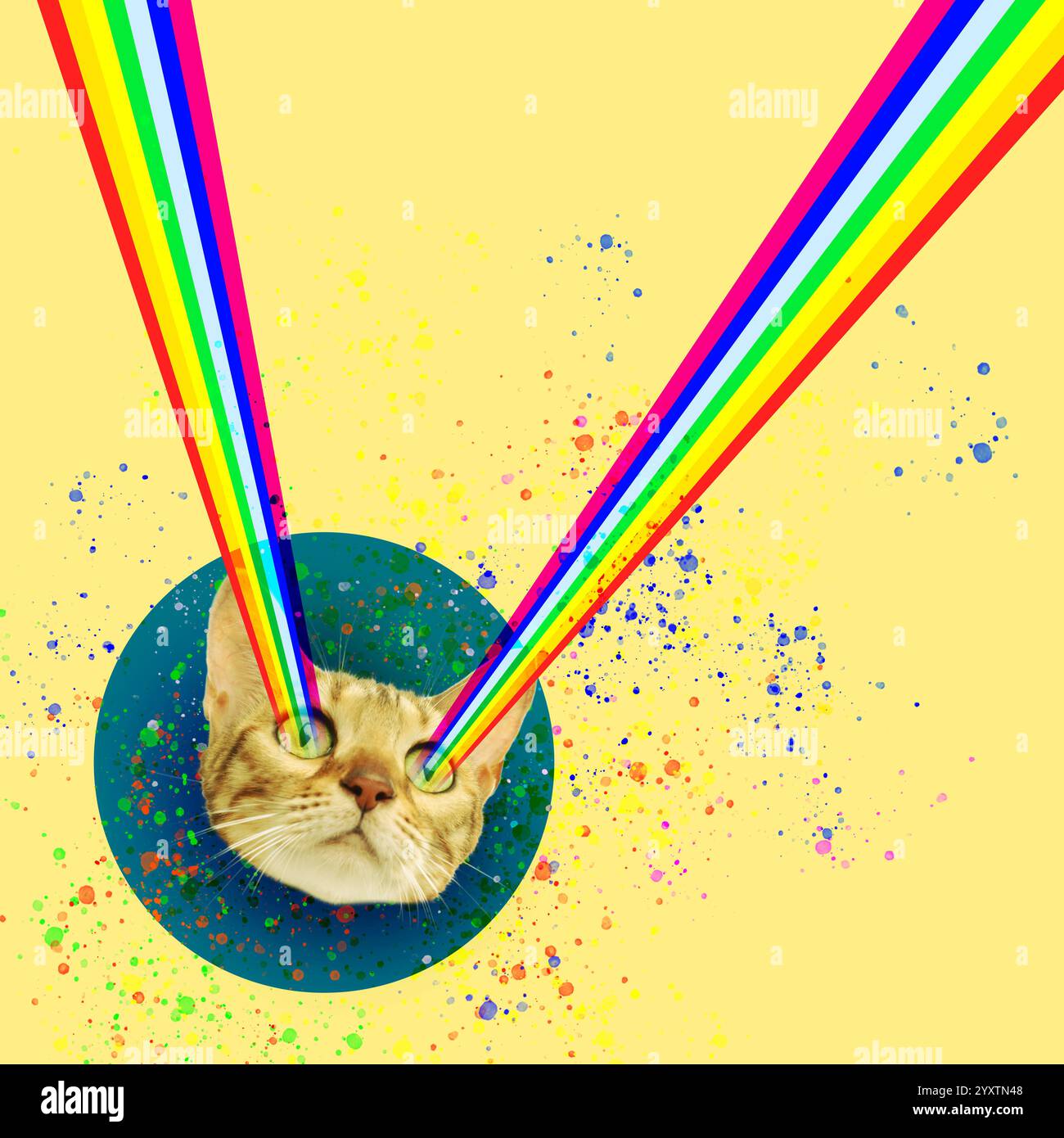 Funny fantasy cat rainbow hi-res stock photography and images - Alamy