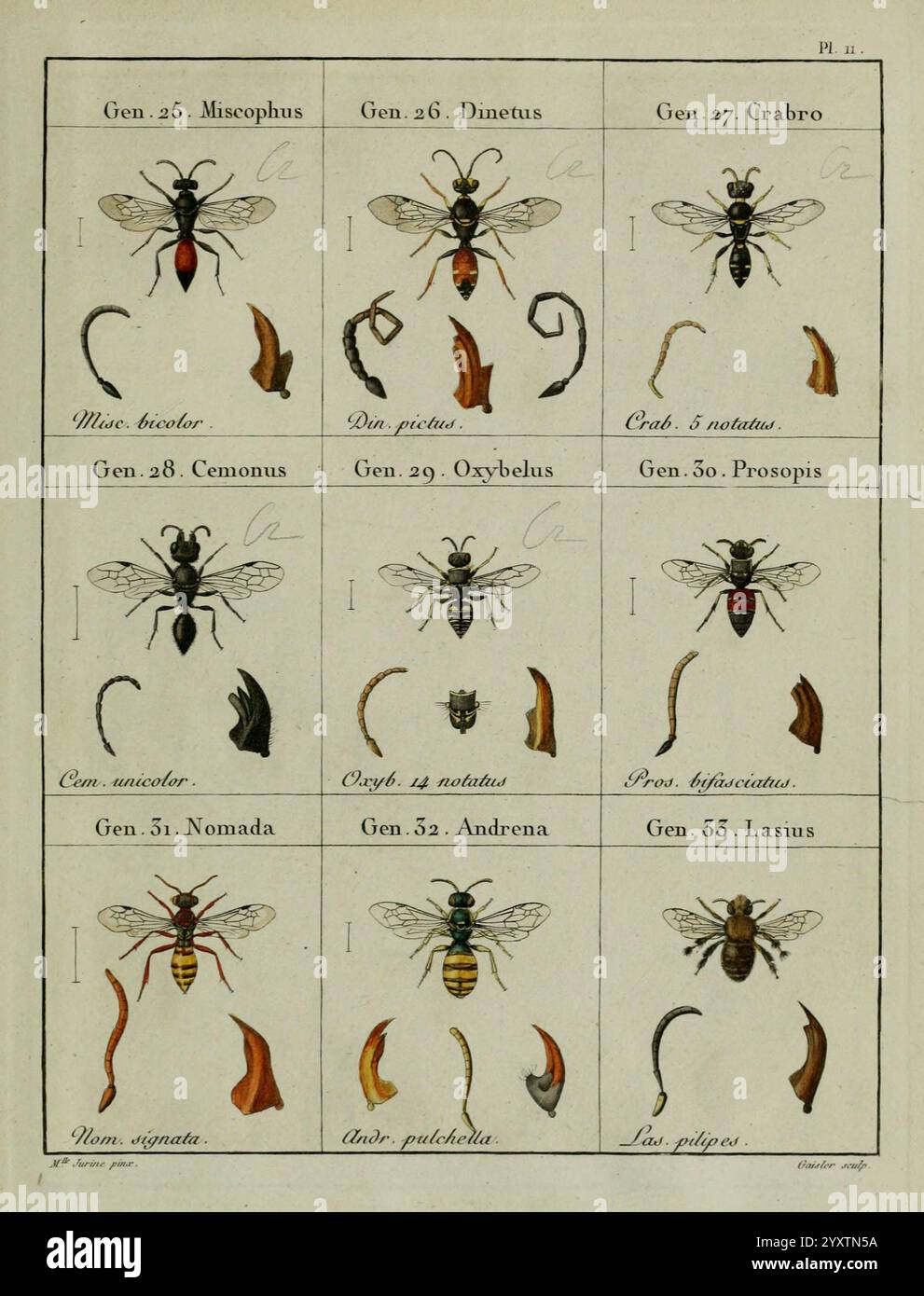 Row contains detailed depictions hi-res stock photography and images ...