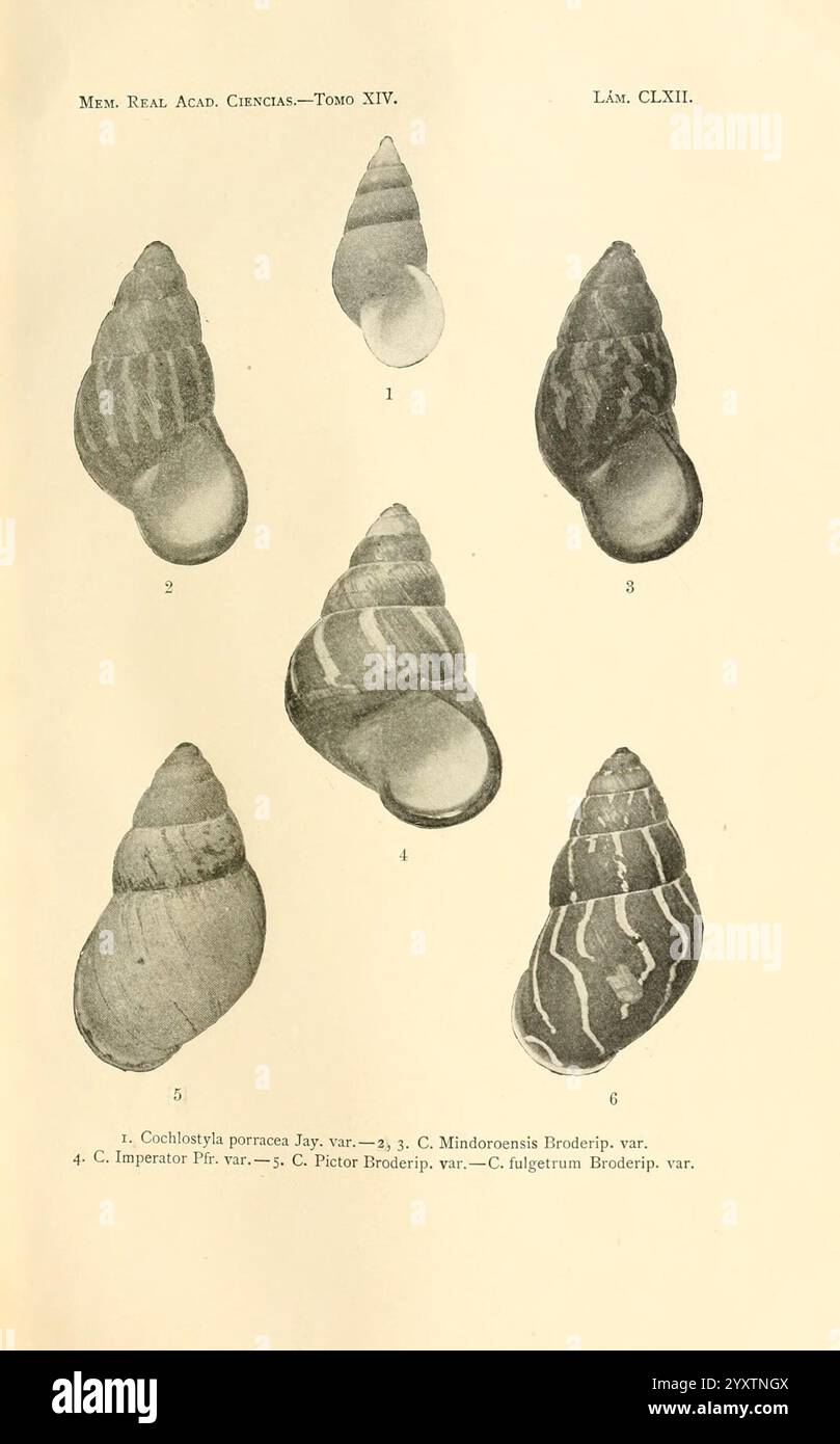 Finer ribbed texture hi-res stock photography and images - Alamy