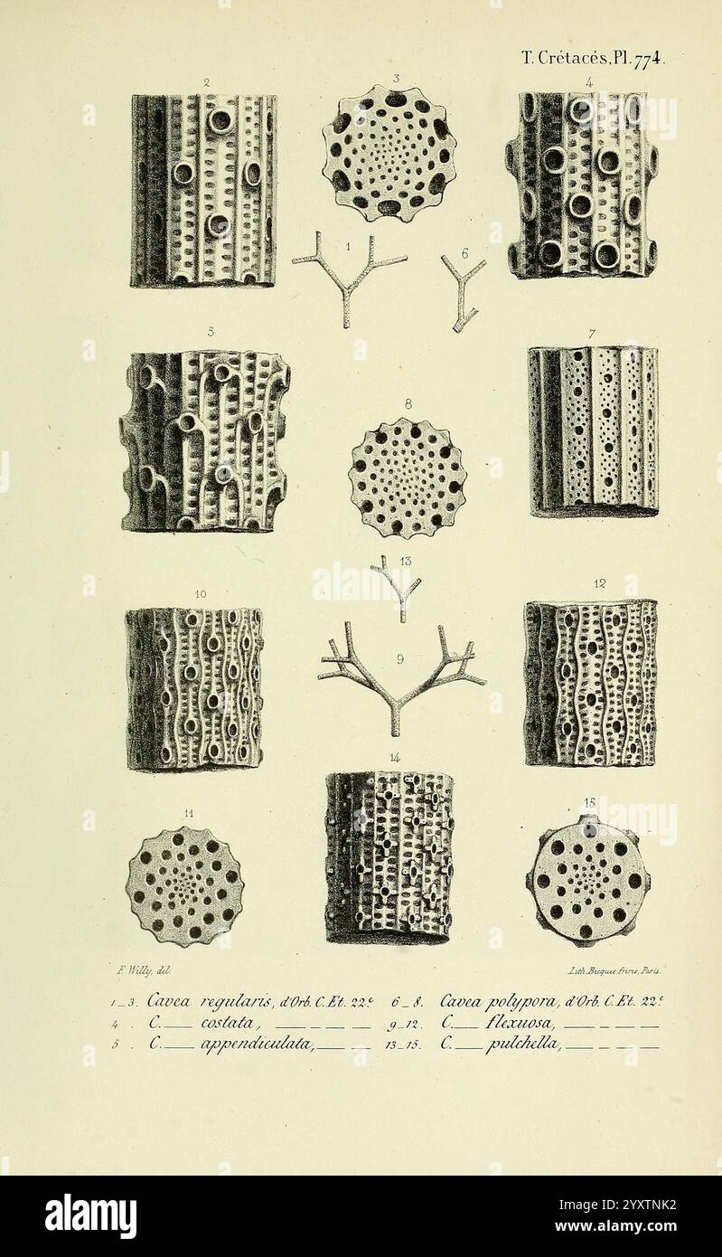Porous frameworks hi-res stock photography and images - Alamy