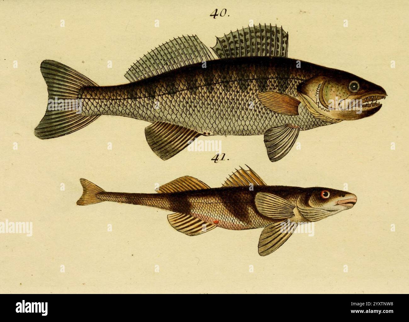 Labeled 41 hi-res stock photography and images - Alamy