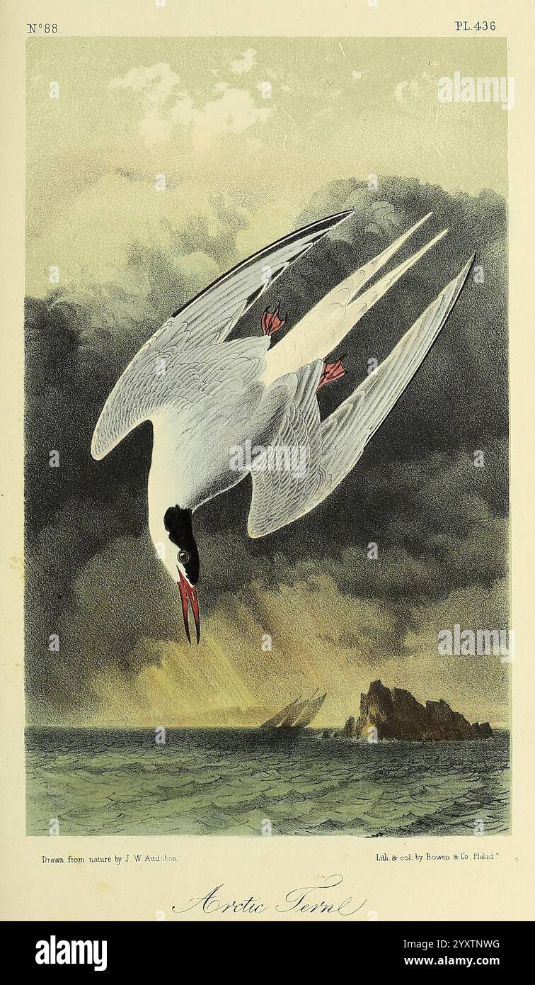 Positioned downward hi-res stock photography and images - Alamy