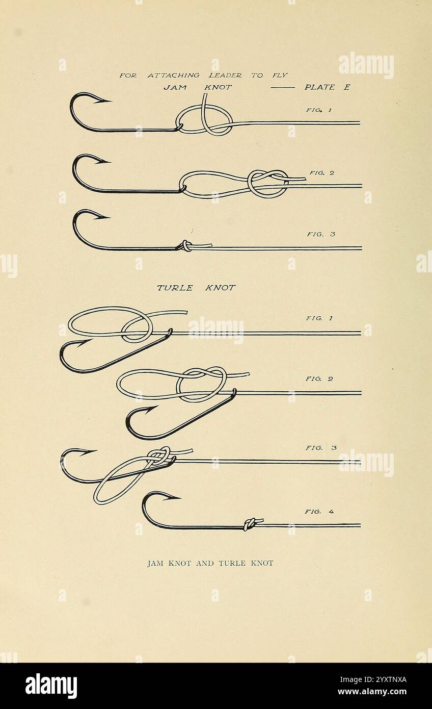 Section features clear diagrams showing hi-res stock photography and ...