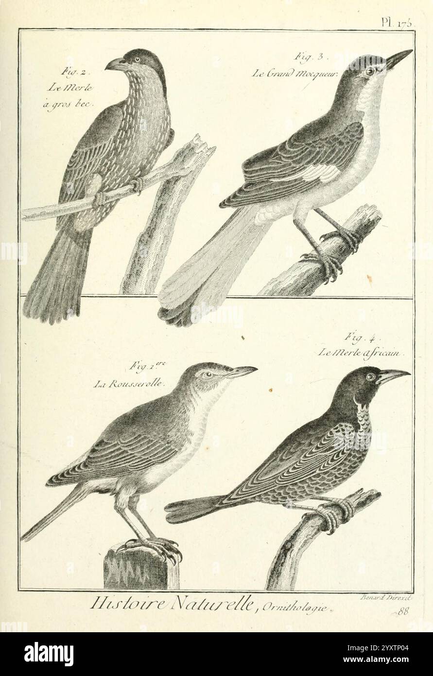 Softer silhouette hi-res stock photography and images - Alamy