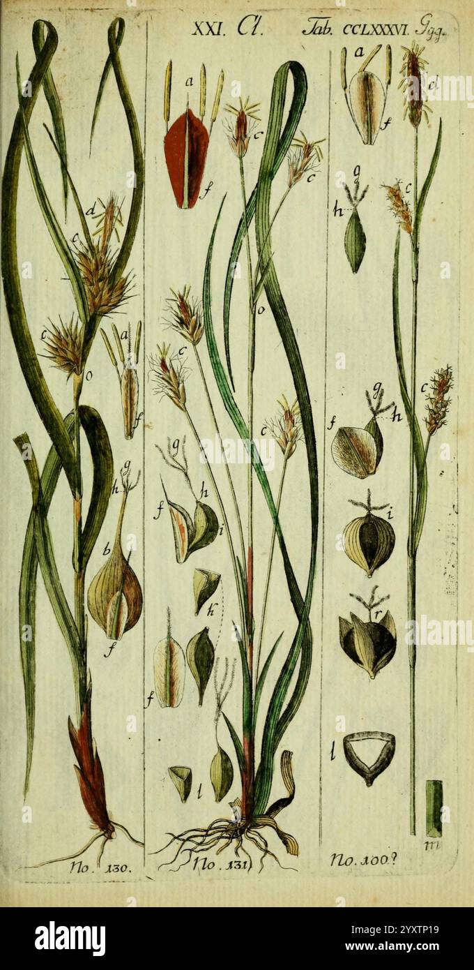 Petals labeled hi-res stock photography and images - Alamy