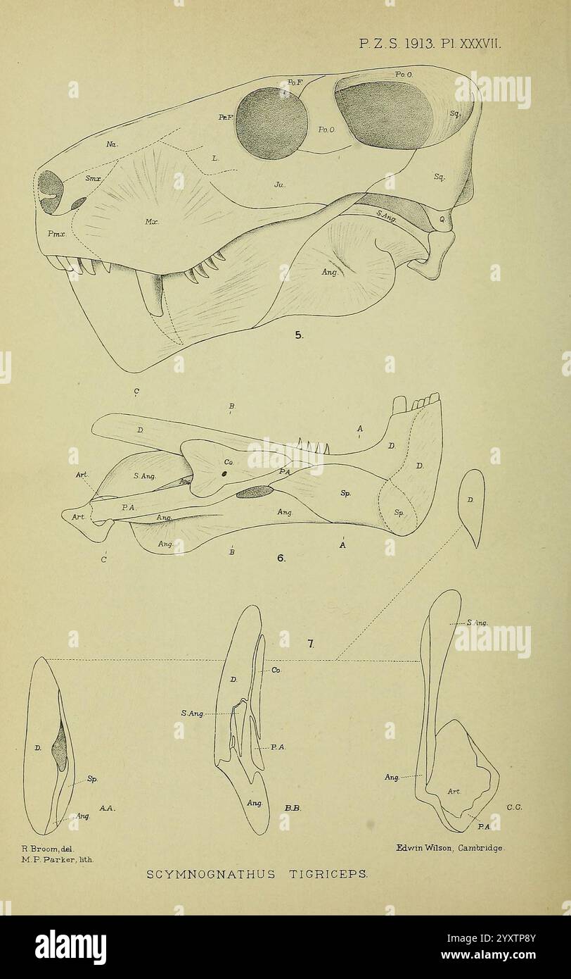Proceedings of the Zoological Society of London, London, Academic Press ...