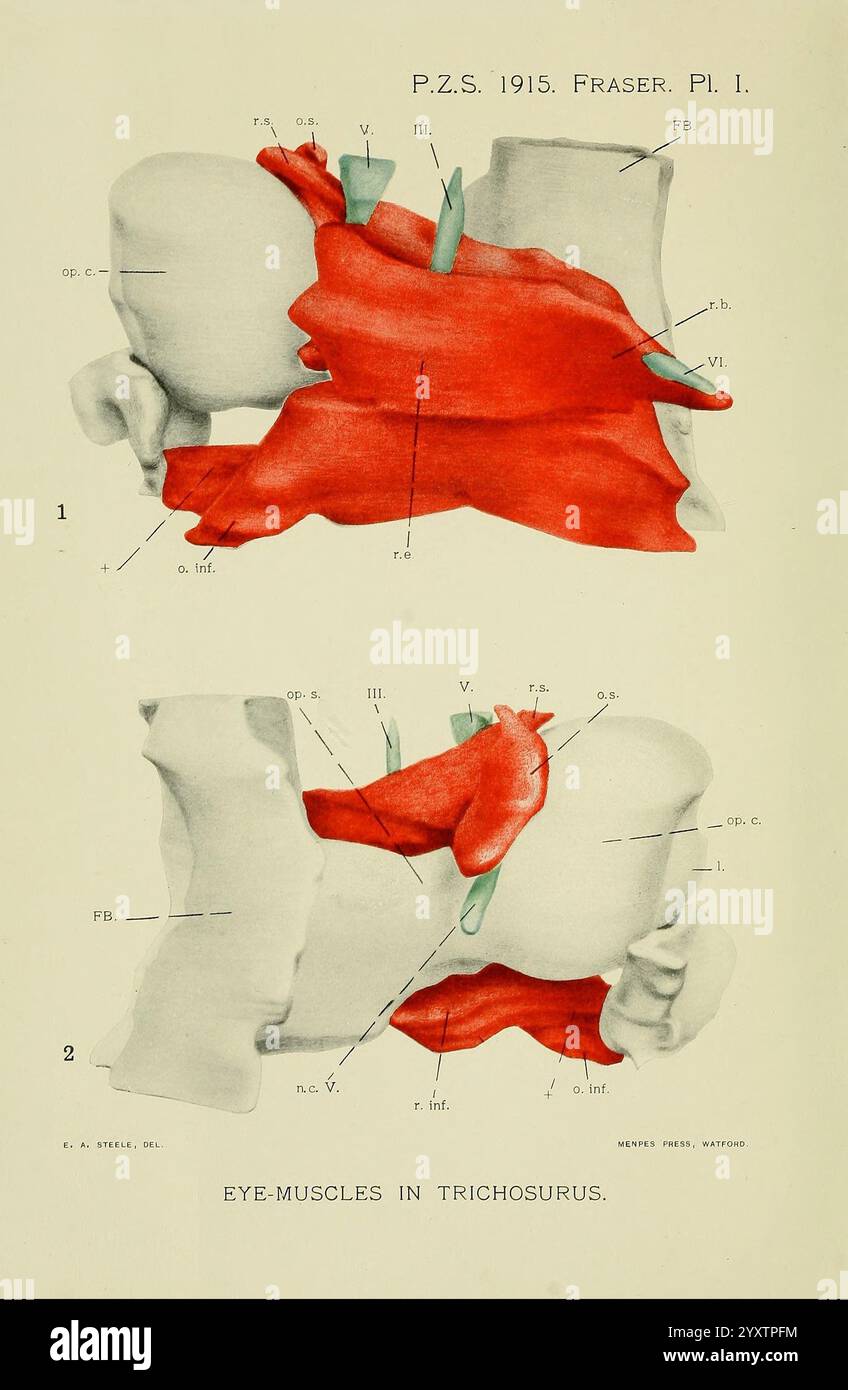 Proceedings of the Zoological Society of London, London, Academic Press ...