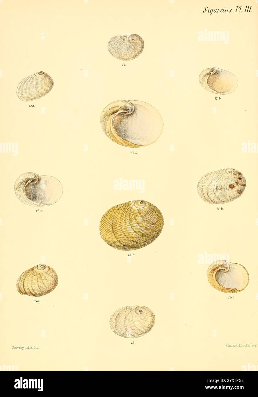 Labeled manner hi-res stock photography and images - Alamy