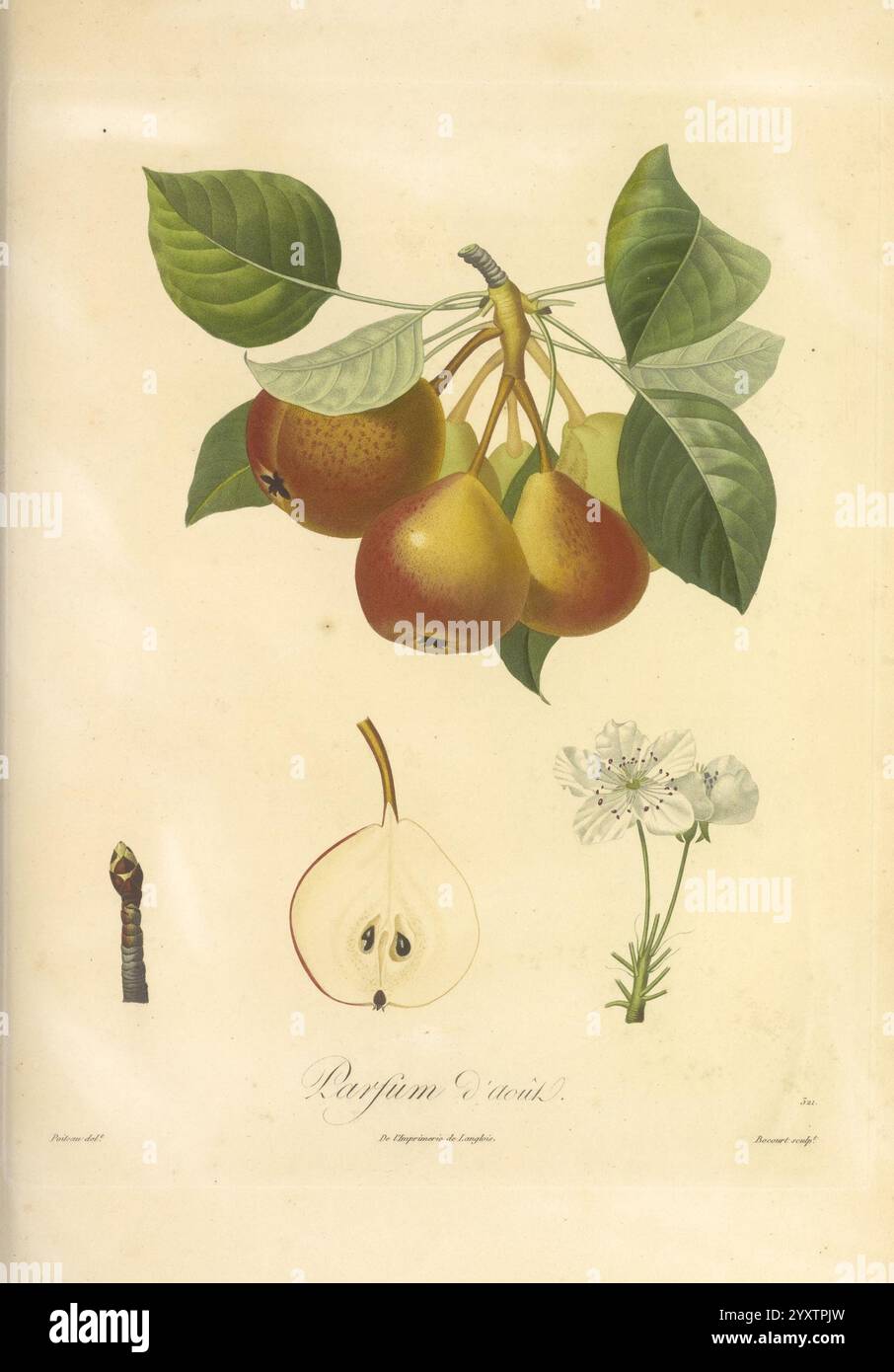 Labels accentuate hi-res stock photography and images - Alamy